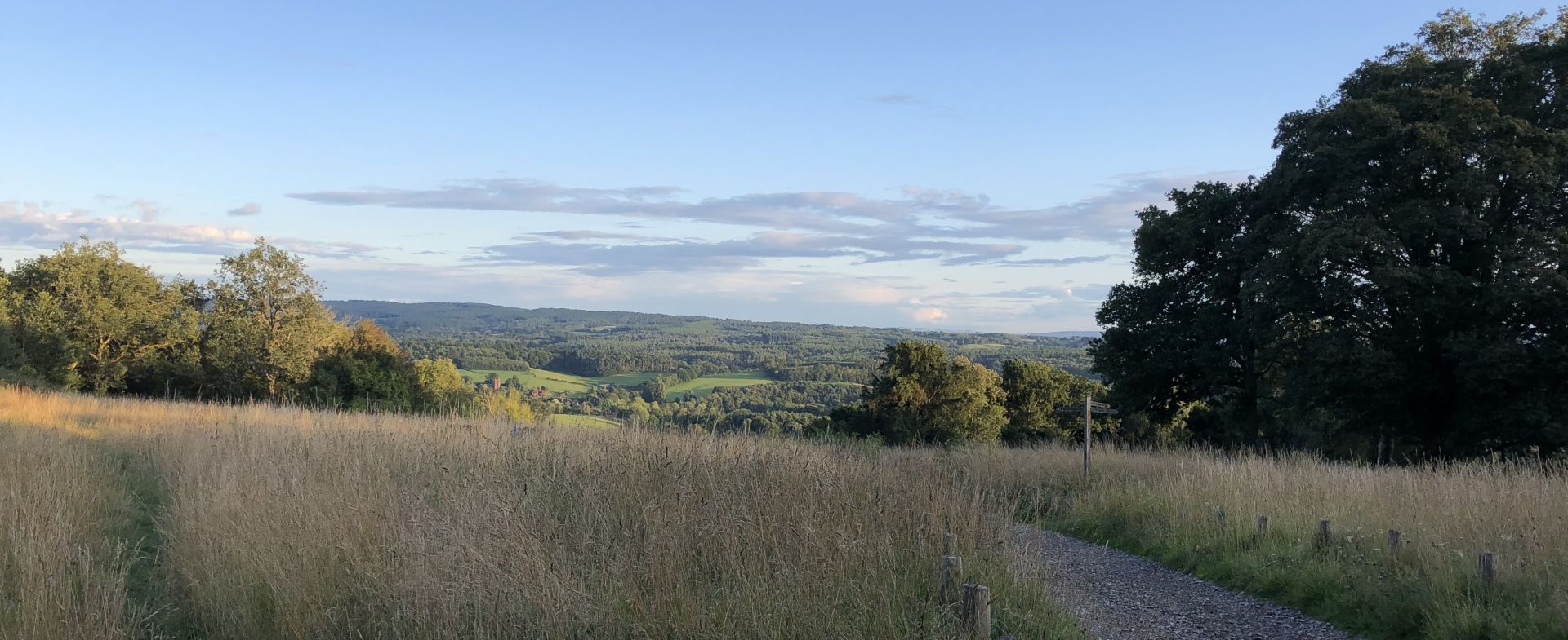 Newlands Corner | Motorcycle Diaries