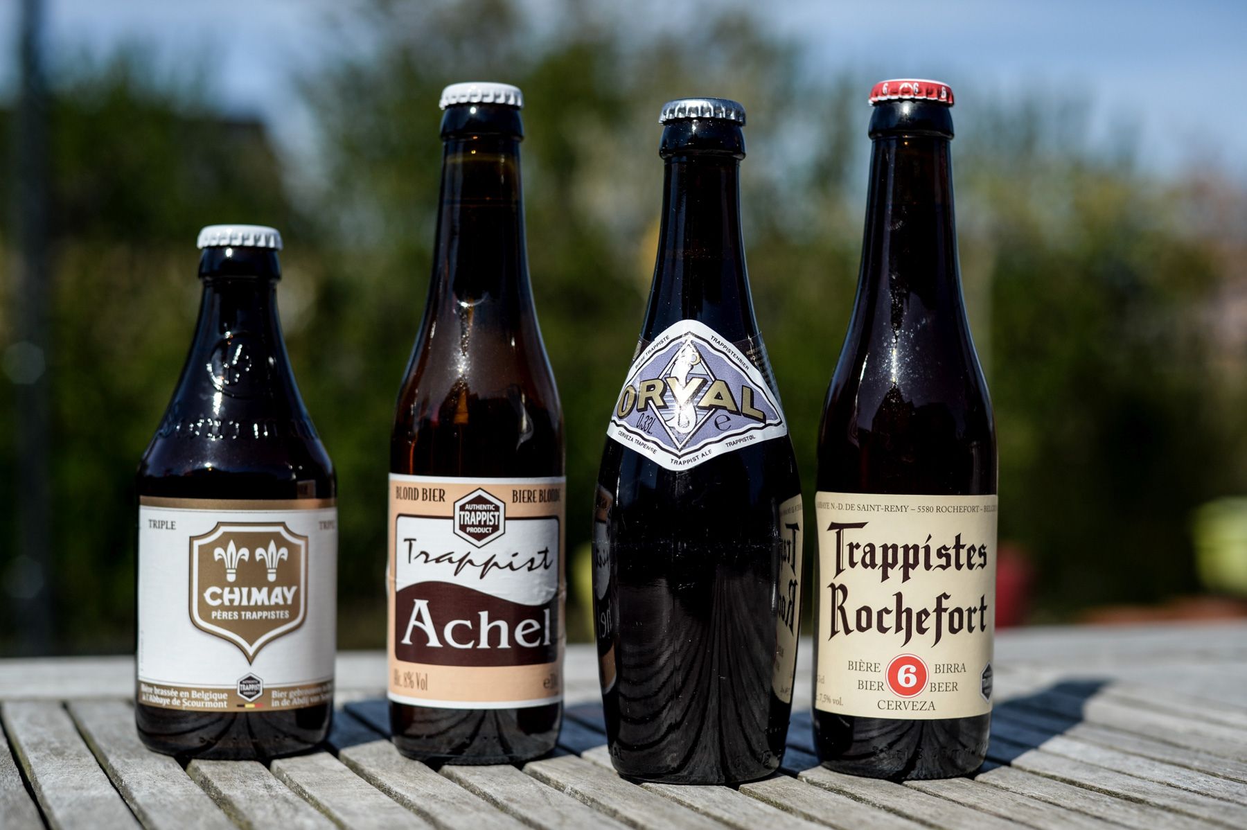 | Motorcycle Diaries