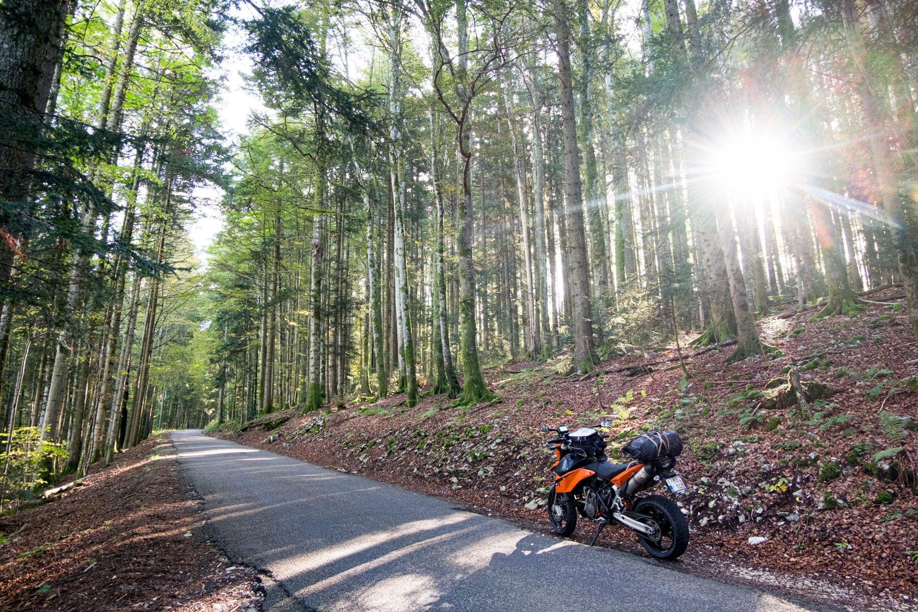 [Trans Euro Trail: Switzerland] | Motorcycle Diaries